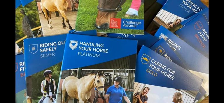 Moor Farm Adult Pony Club - Moor Farm Stables